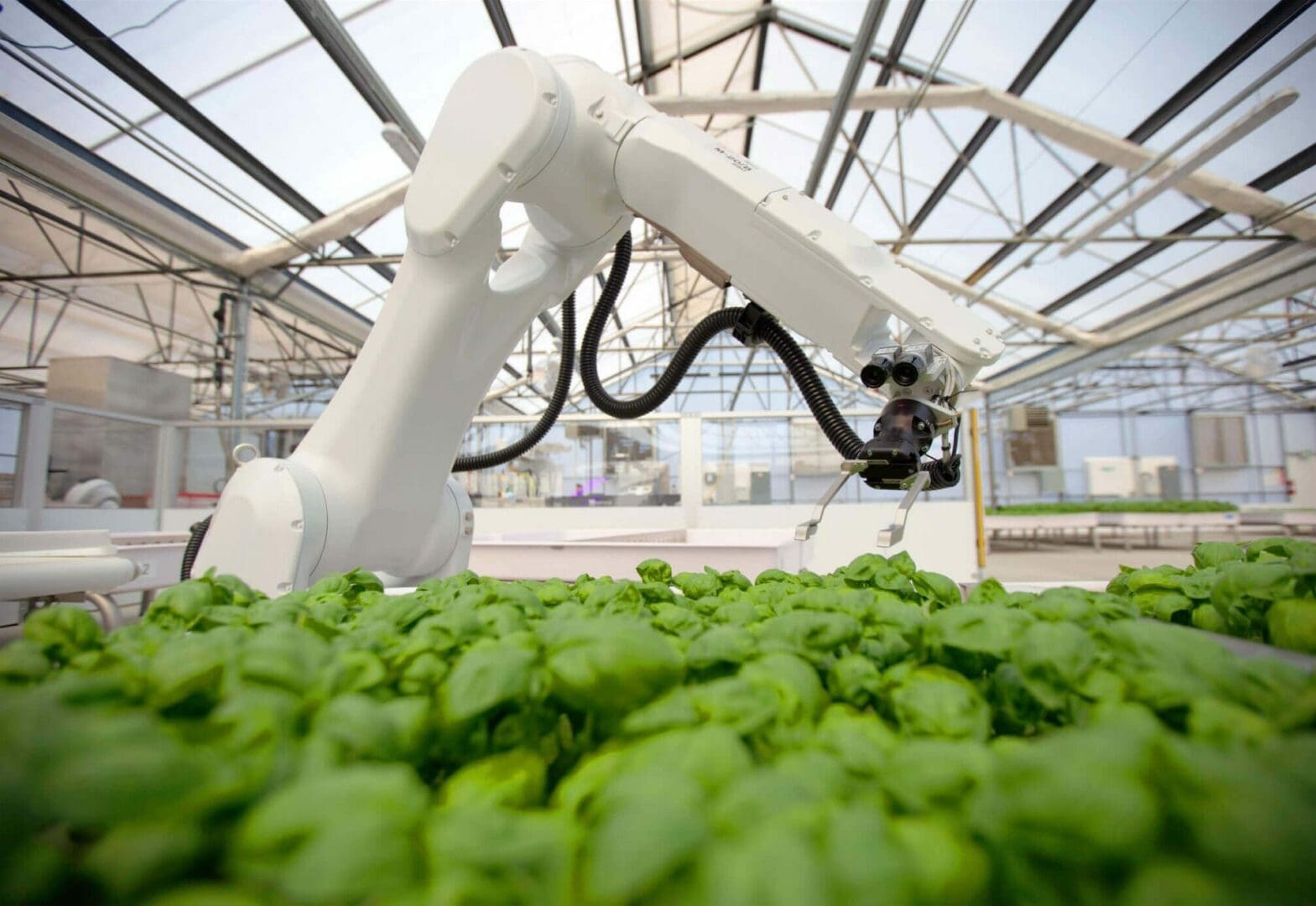 AI-Run California Greenhouse - Christian Kromme