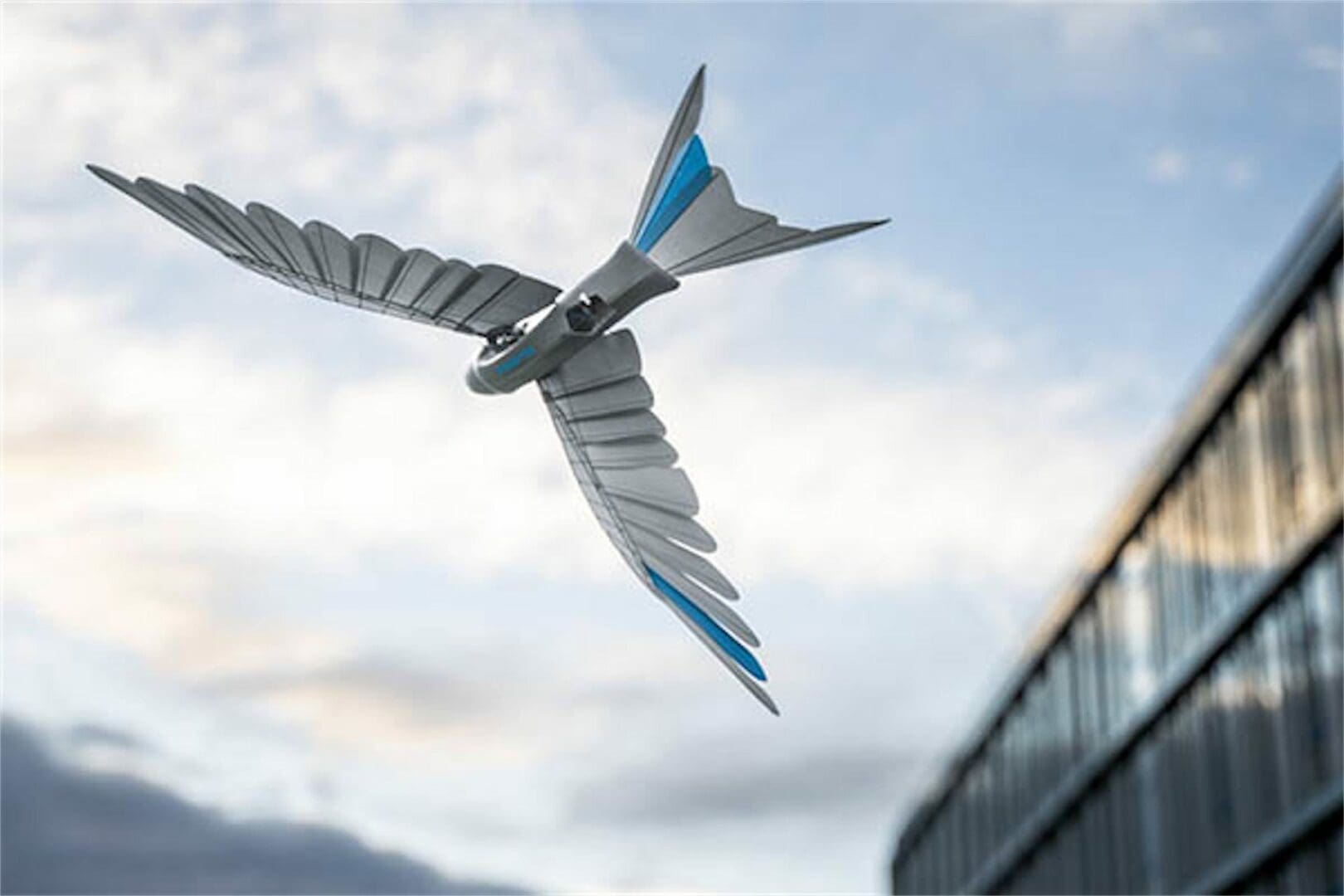 Festo's Flying Robots Debut at RoboBoston - Christian Kromme